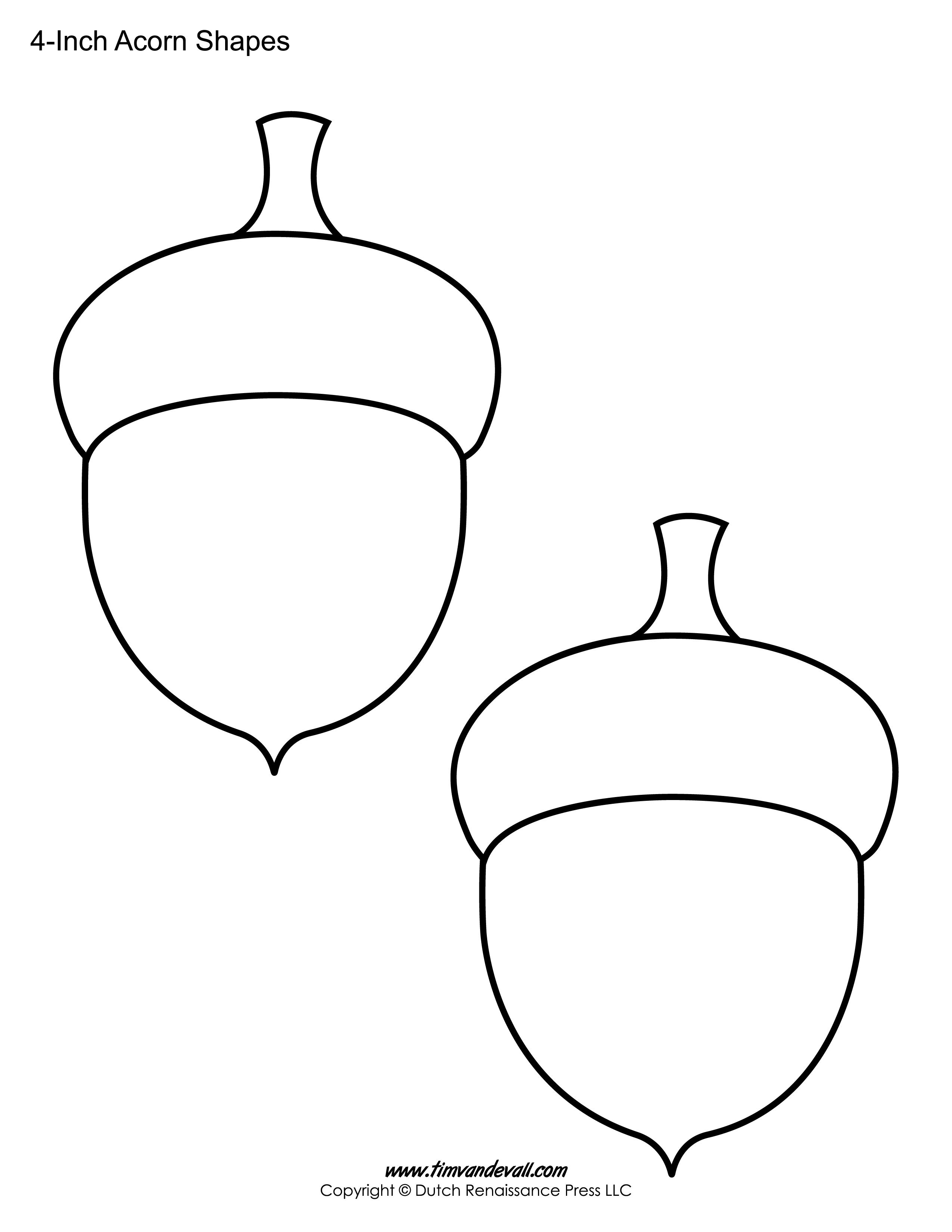 Acorn Templates Printable Acorn Shapes Blank Shape Pdfs Acorn 