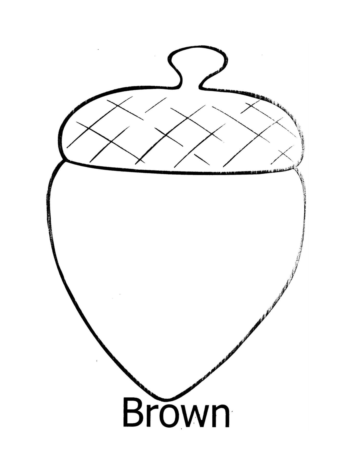 Acorn Templates Printable Acorn Shapes Blank Shape Pdfs Acorn Template Free Printable 